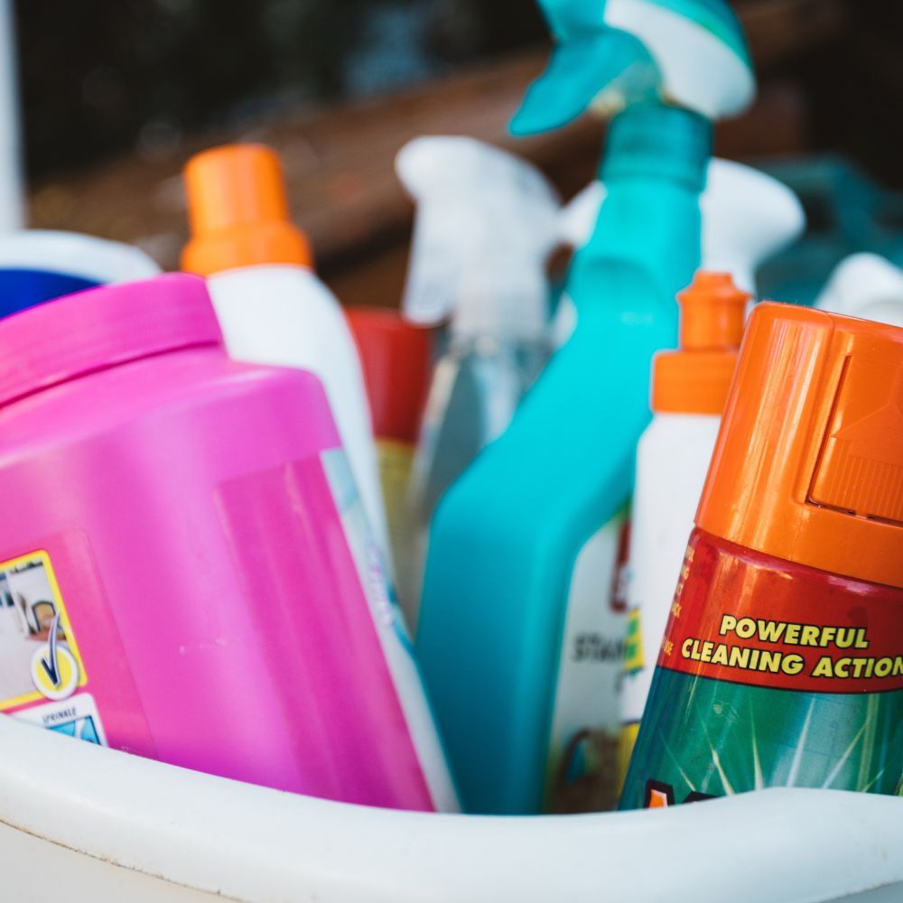 Get The Best Cat Stain Remover To Eliminate Those Nasty Odors And ...