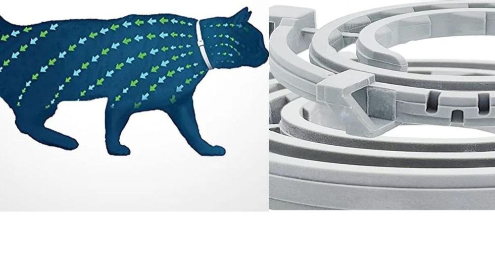 Is Your Cat Protected From Fleas Find Out If Flea Collars Are Safe For Your Furry Friend