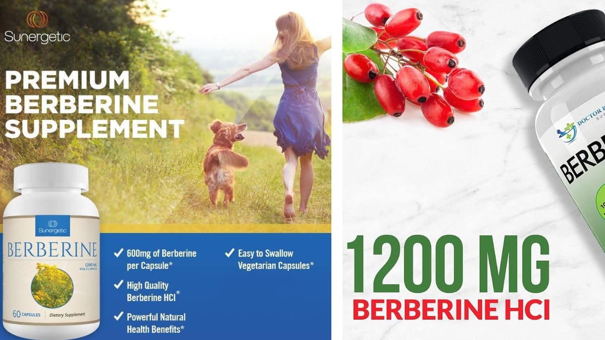 Berberine Plus: Unlocking the Extraordinary Health Benefits of Nature's ...