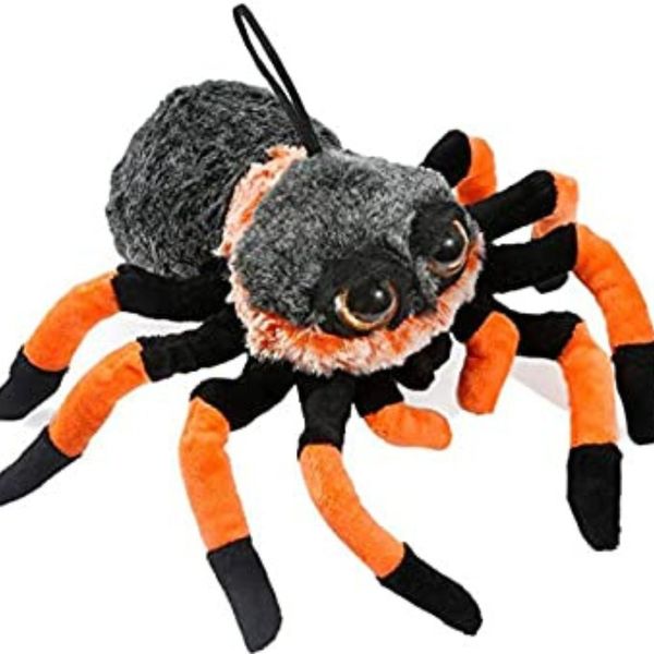 The 7 Best Halloween Cat Toys For Your Pet- Your Cat will Love #2