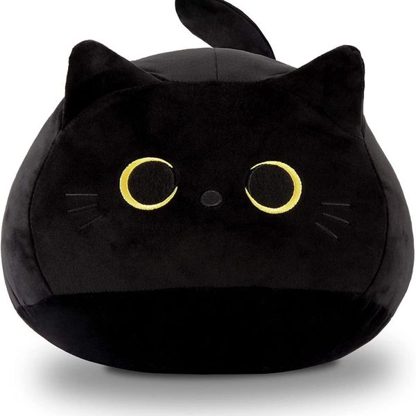 25 Cat Squishmallows For Cat Lovers!!
